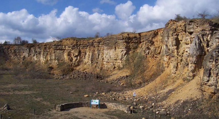 Pelouses calcaires, Lorry-Mardigny – Les pelouses au fil des saisons