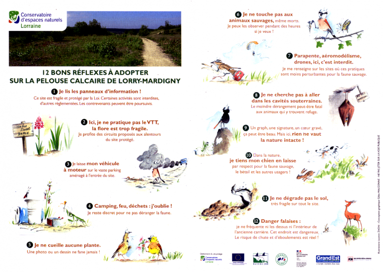 Pelouses calcaires, Lorry-Mardigny – Les pelouses au fil des saisons